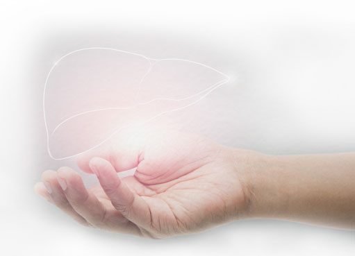 our-procedure-3 | Home