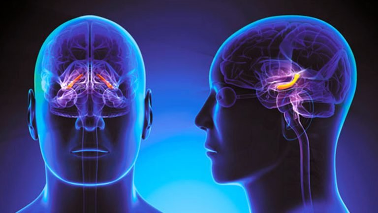 How to Grow New Brain Cells Naturally Neurogenesis- Stem Cell Care India