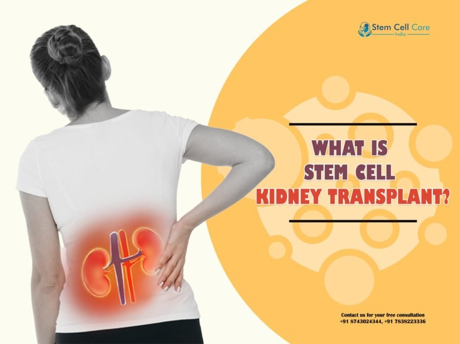 What Is Stem Cell Kidney Transplant?