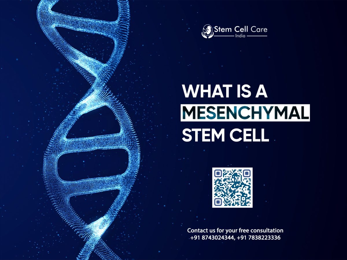 What Is a Mesenchymal Stem Cell?