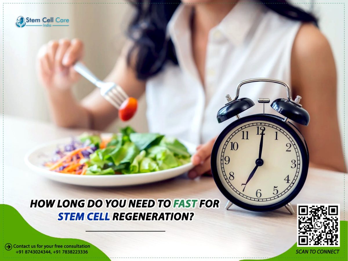 How Long Do You Need to Fast for Stem Cell Regeneration